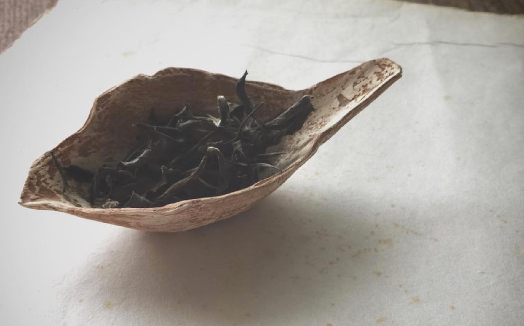 Yohaku no bi: The Beauty of Empty Space – HAKU tea